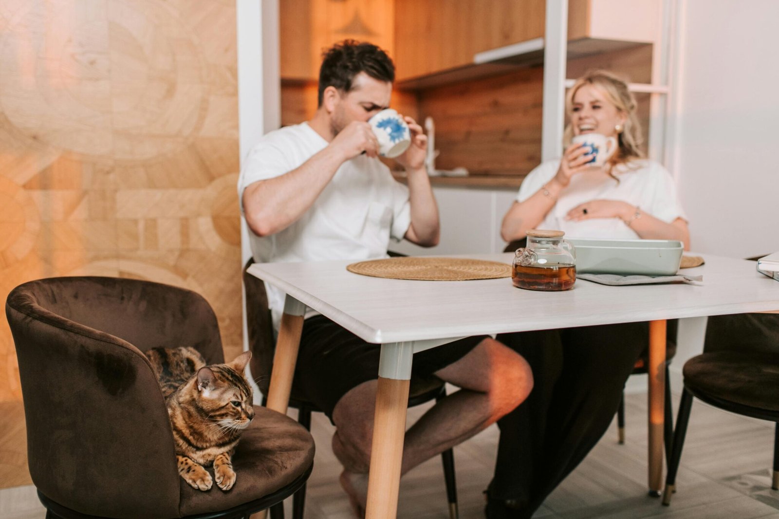 Best Cat Cafe In Bangalore - 3 Options For A Magical Time